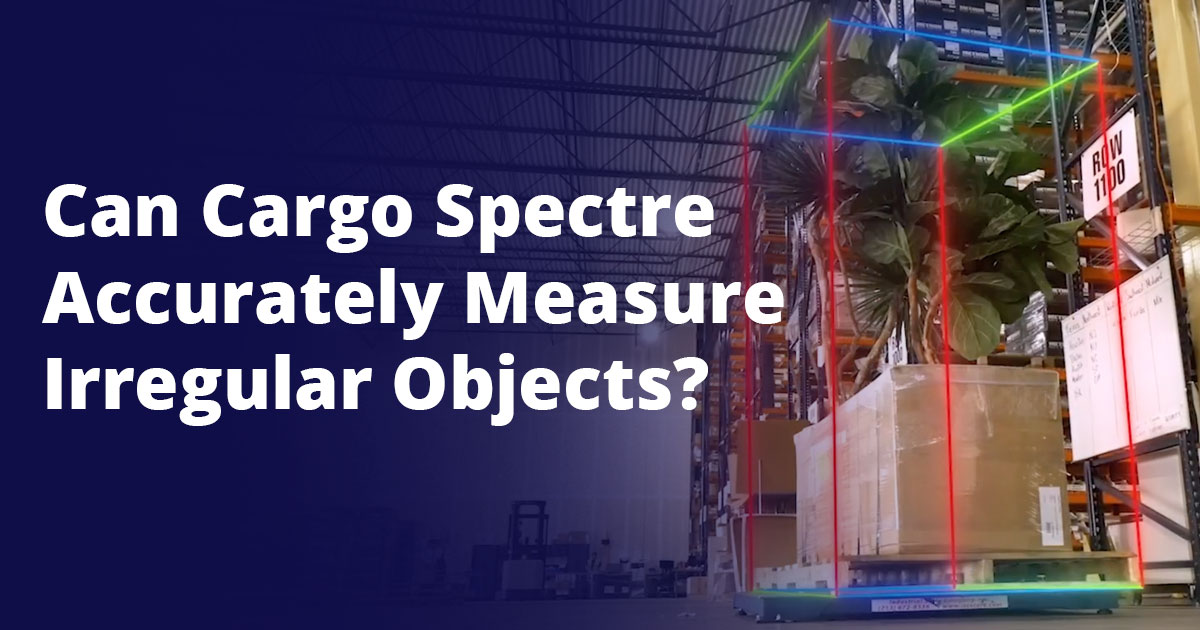 Can Cargo Spectre Accurately Measure Irregular Objects? - Cargo Spectre